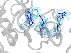 Hidden Alternative Structures of Proline Isomerase
