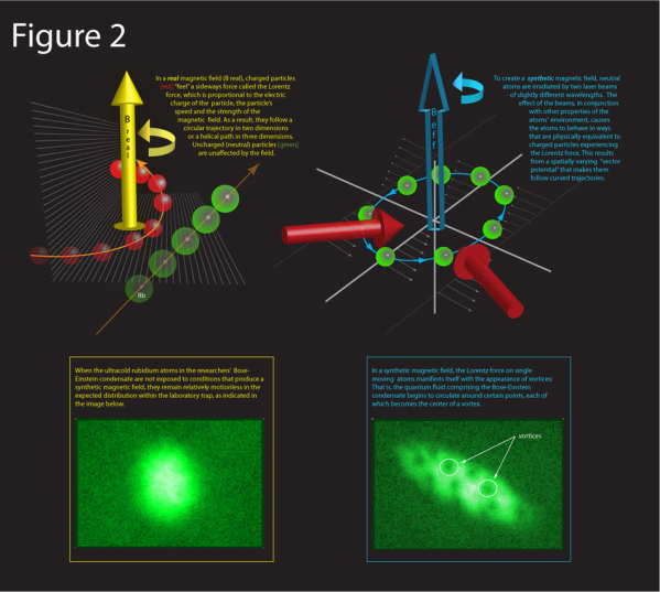 Synthetic Magnetic Fields for Ultracold Neutral Atoms